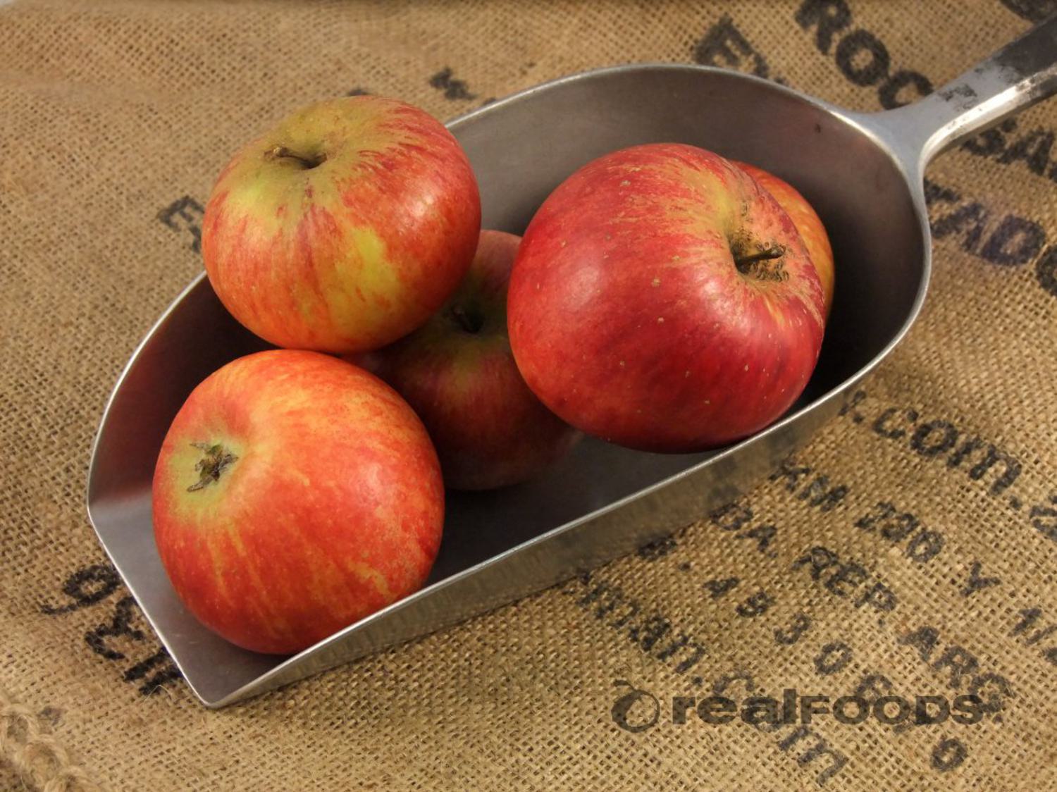 Buy Organic Charles Ross Apples