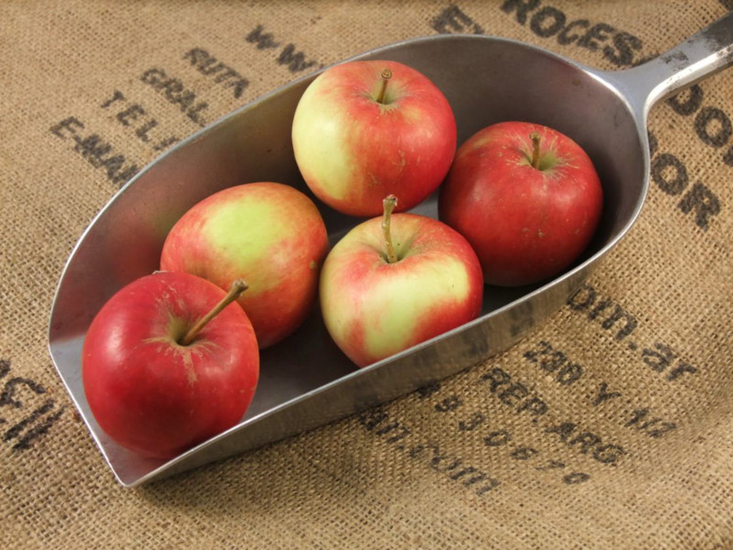 Buy Organic Apples Katy