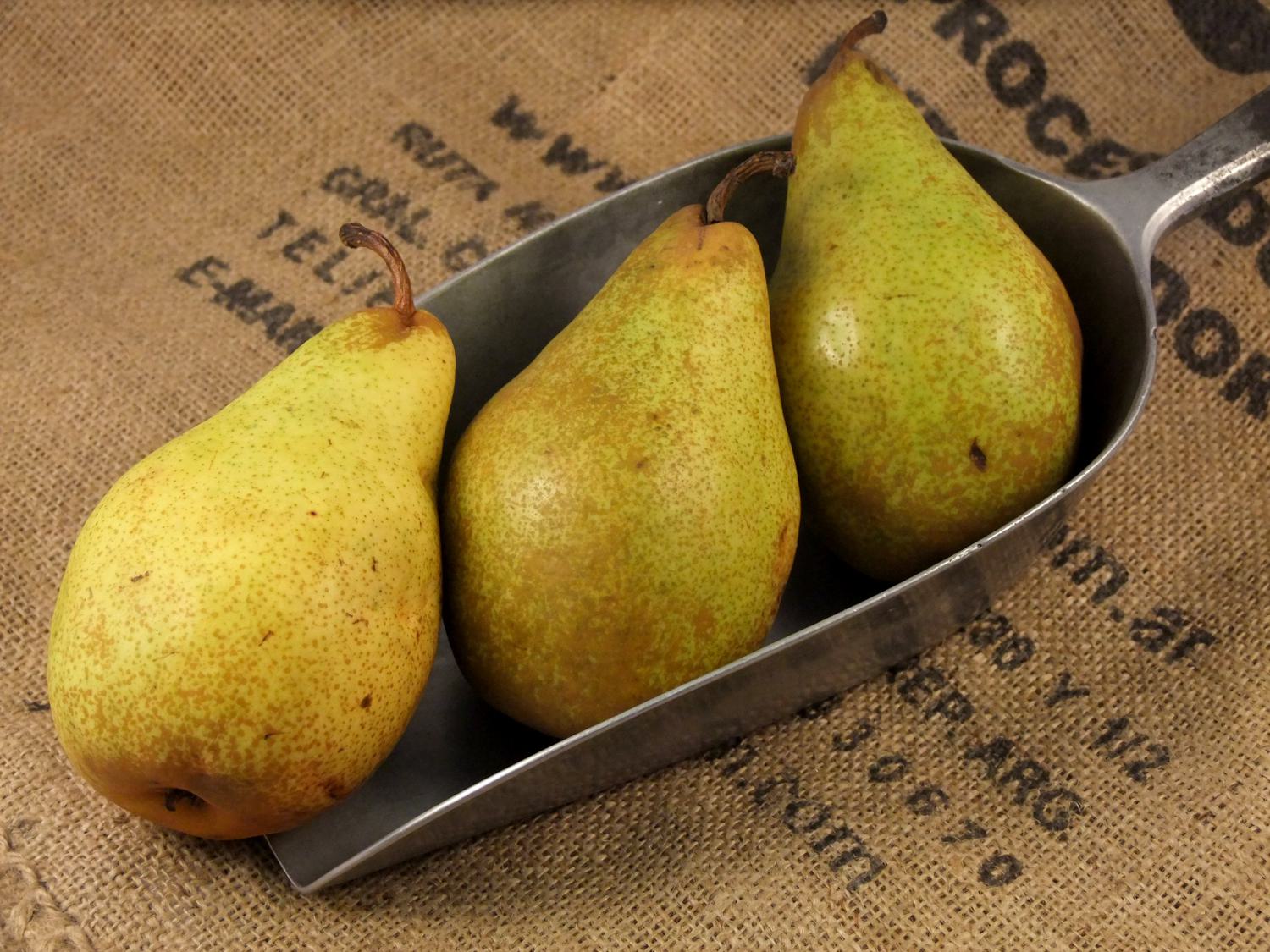 Buy Organic Worcester Pears Triumph