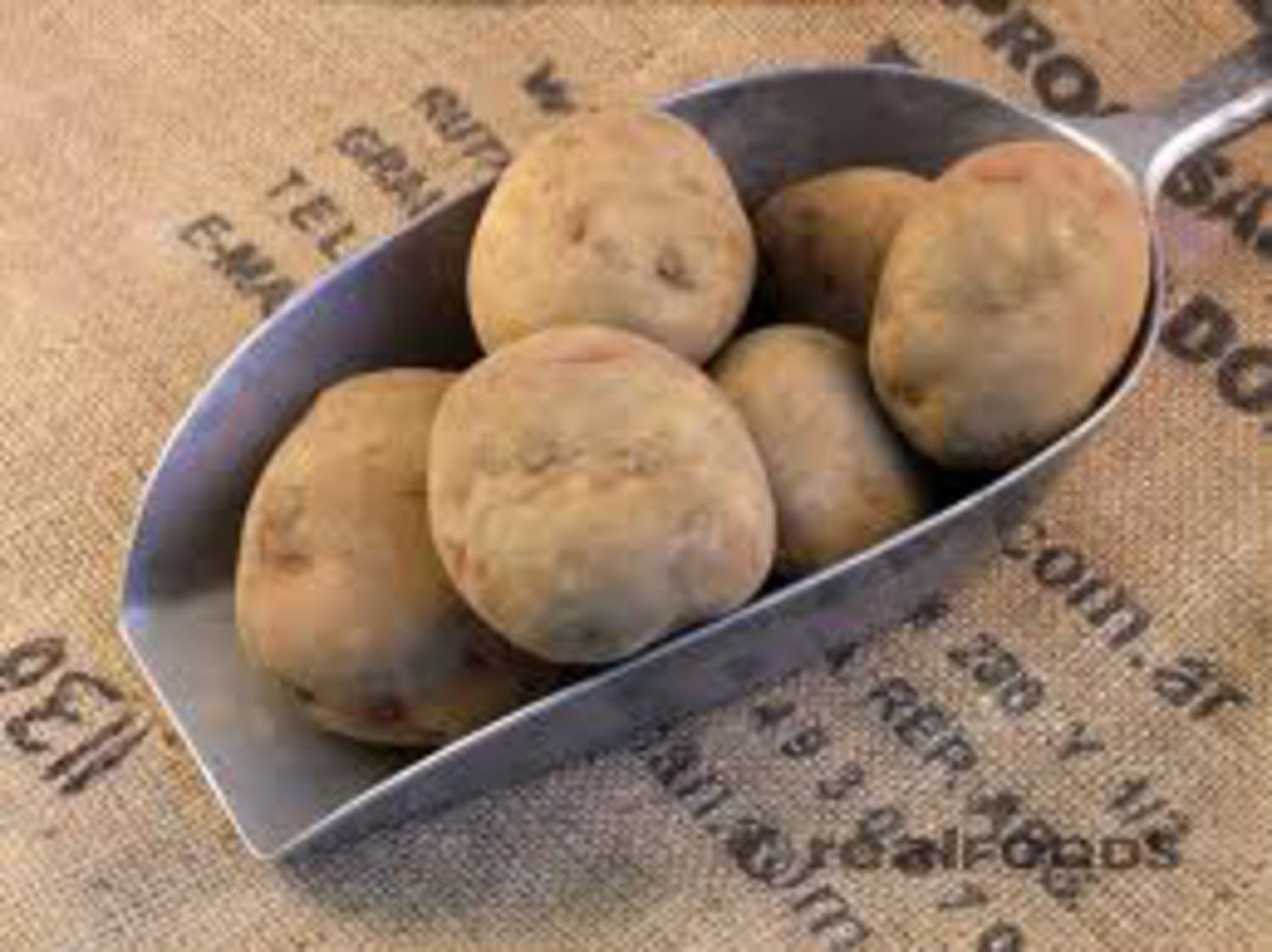 Buy Organic Potato