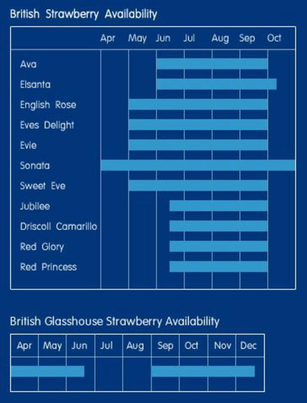 Article | Summer Berries